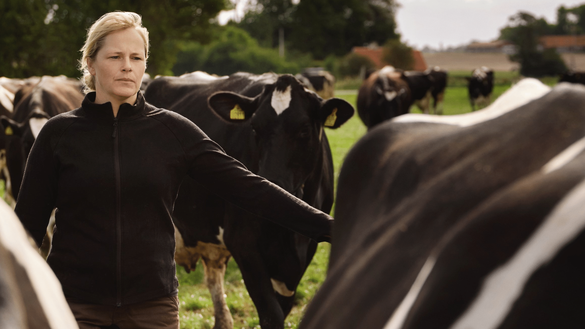 Arla: Mejeriprodukter med lavere CO2-aftryk - MLDK - Mærkevareleverandørene